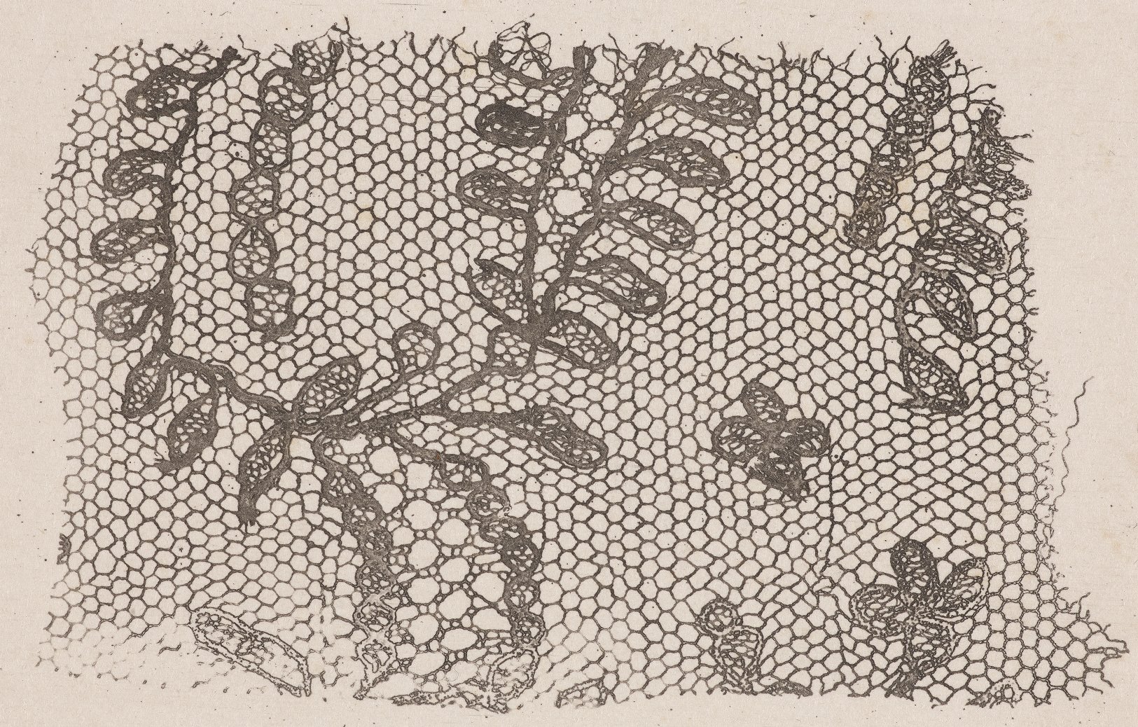 Rylands BlogInnovators and Artists, the early pioneers of Photography